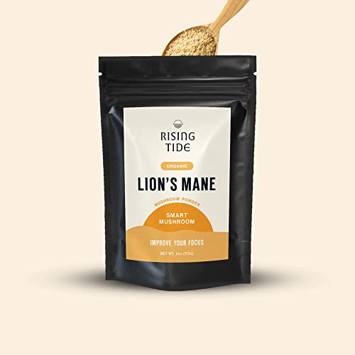 Enhance focus with Lion's Mane mushrooms