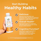 enhance focus with lion's mane supplement