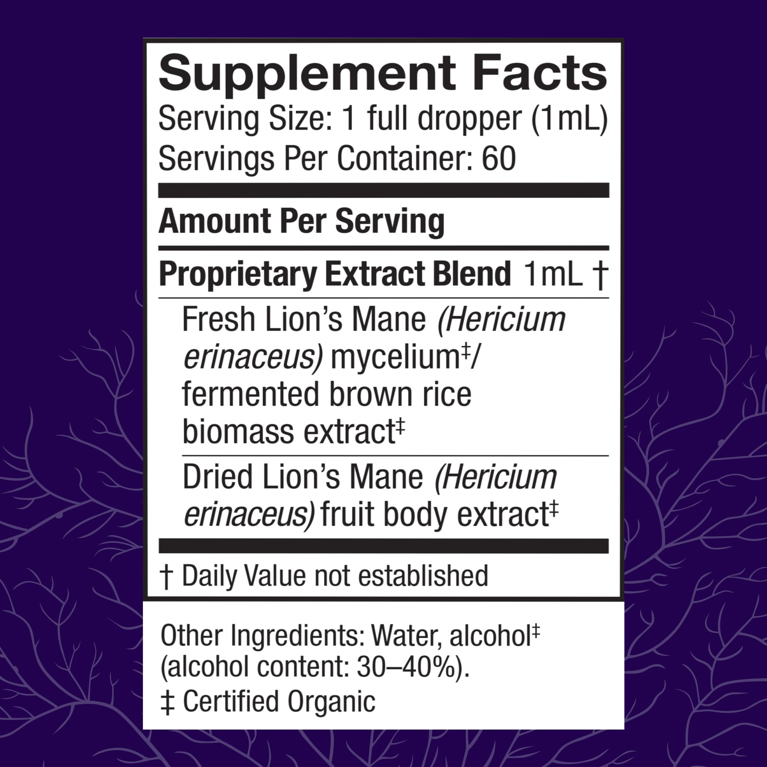 enhance focus with Lion's Mane