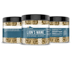 enhance focus with lion's mane
