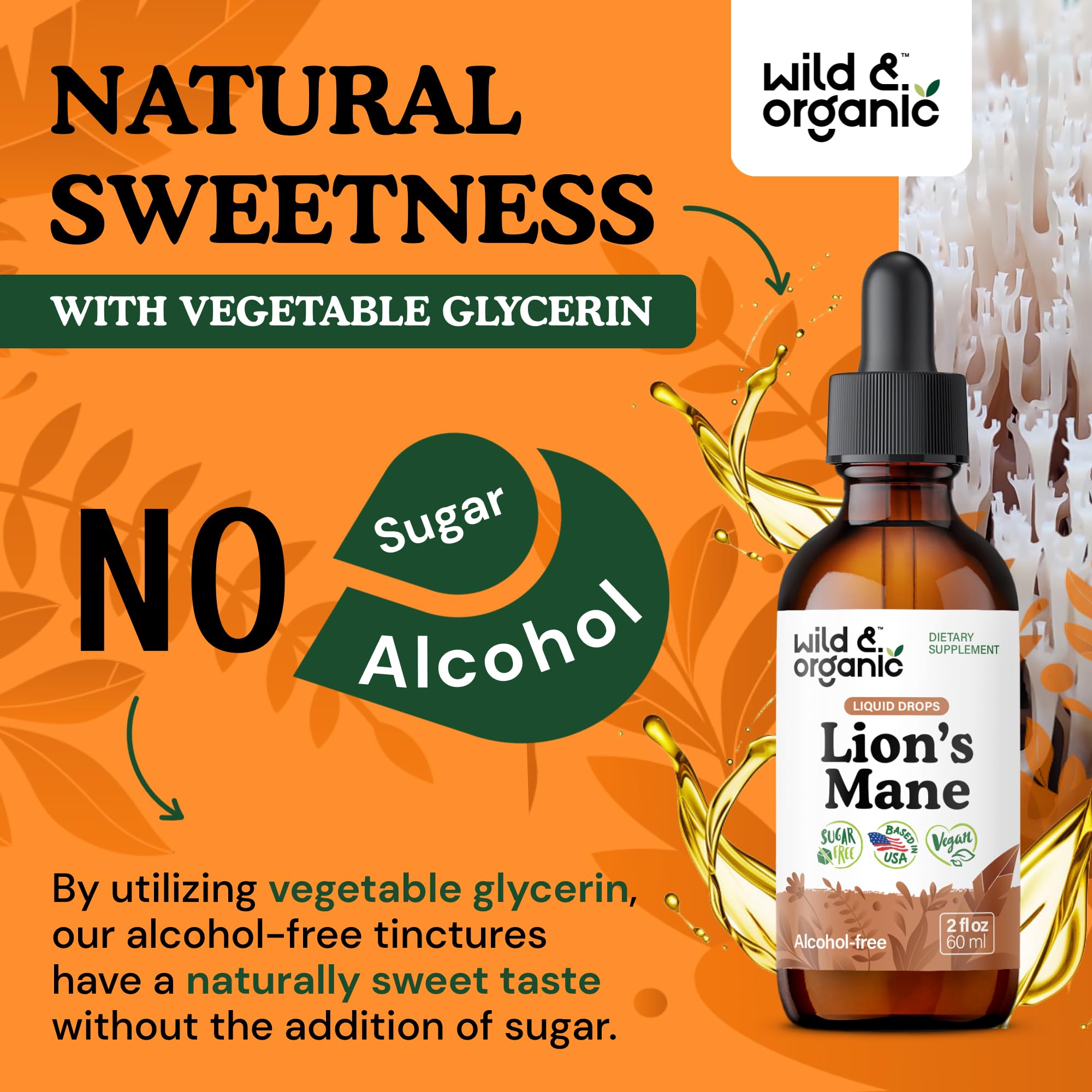 enhance focus with Lion's Mane