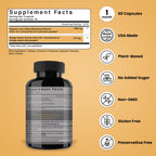 enhance focus with lion's mane