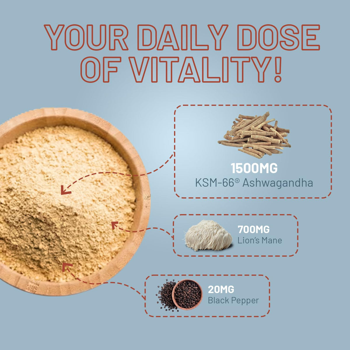 enhance focus with Lion's Mane