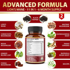 enhance focus with lion's mane