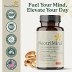 Enhance focus with Lion's Mane