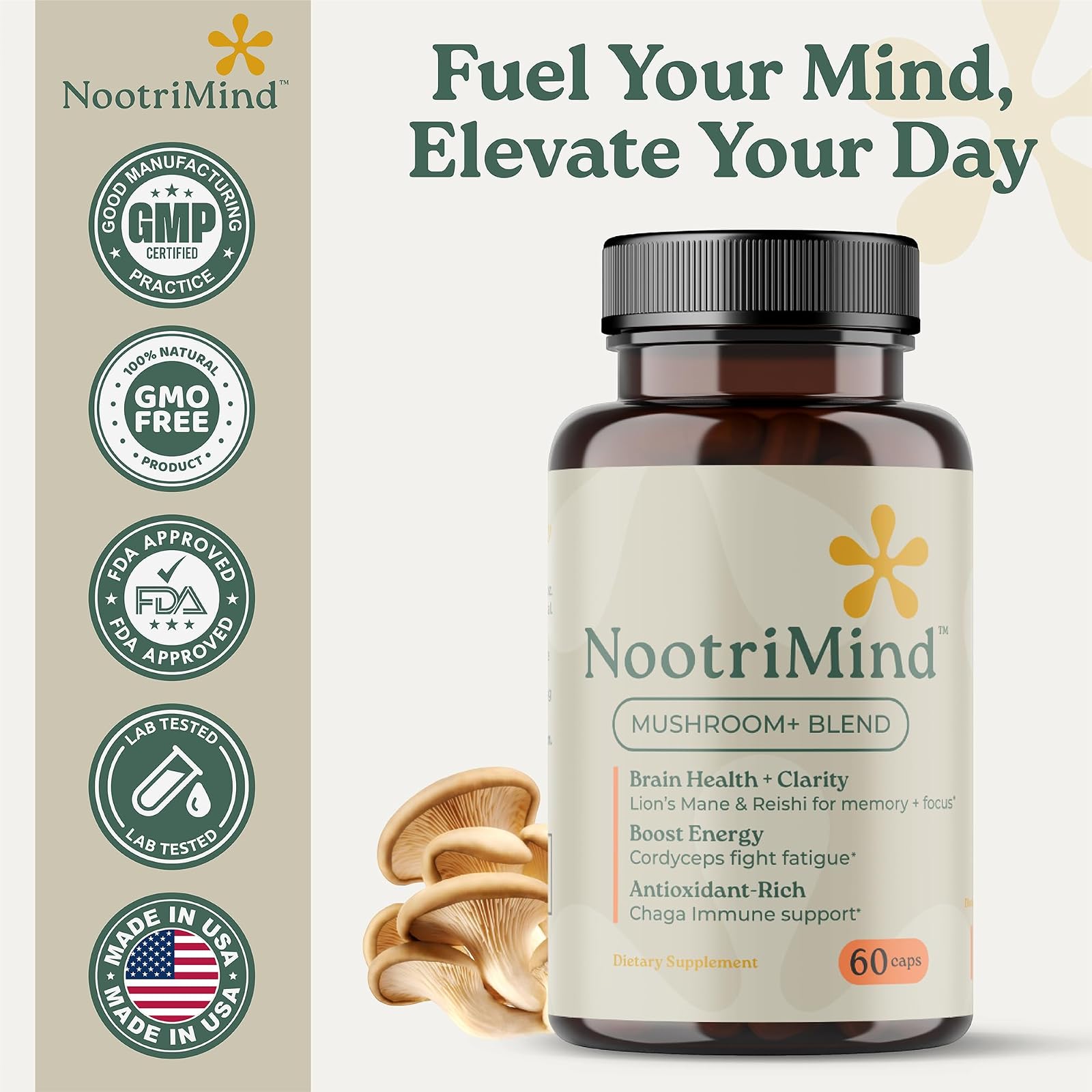 Enhance focus with Lion's Mane