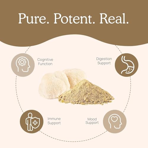 enhance focus with Lion's Mane