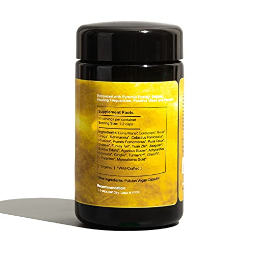 enhance focus with Lion's Mane