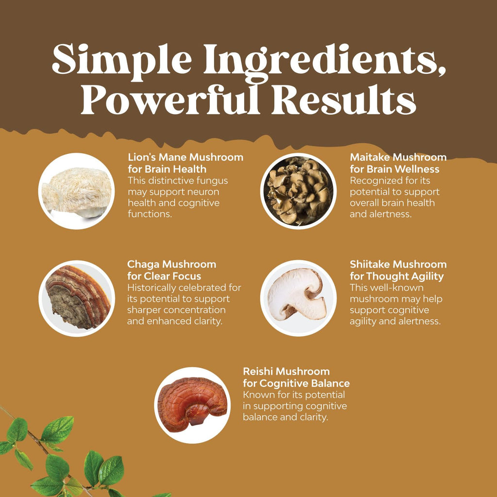 enhance focus with lion's mane