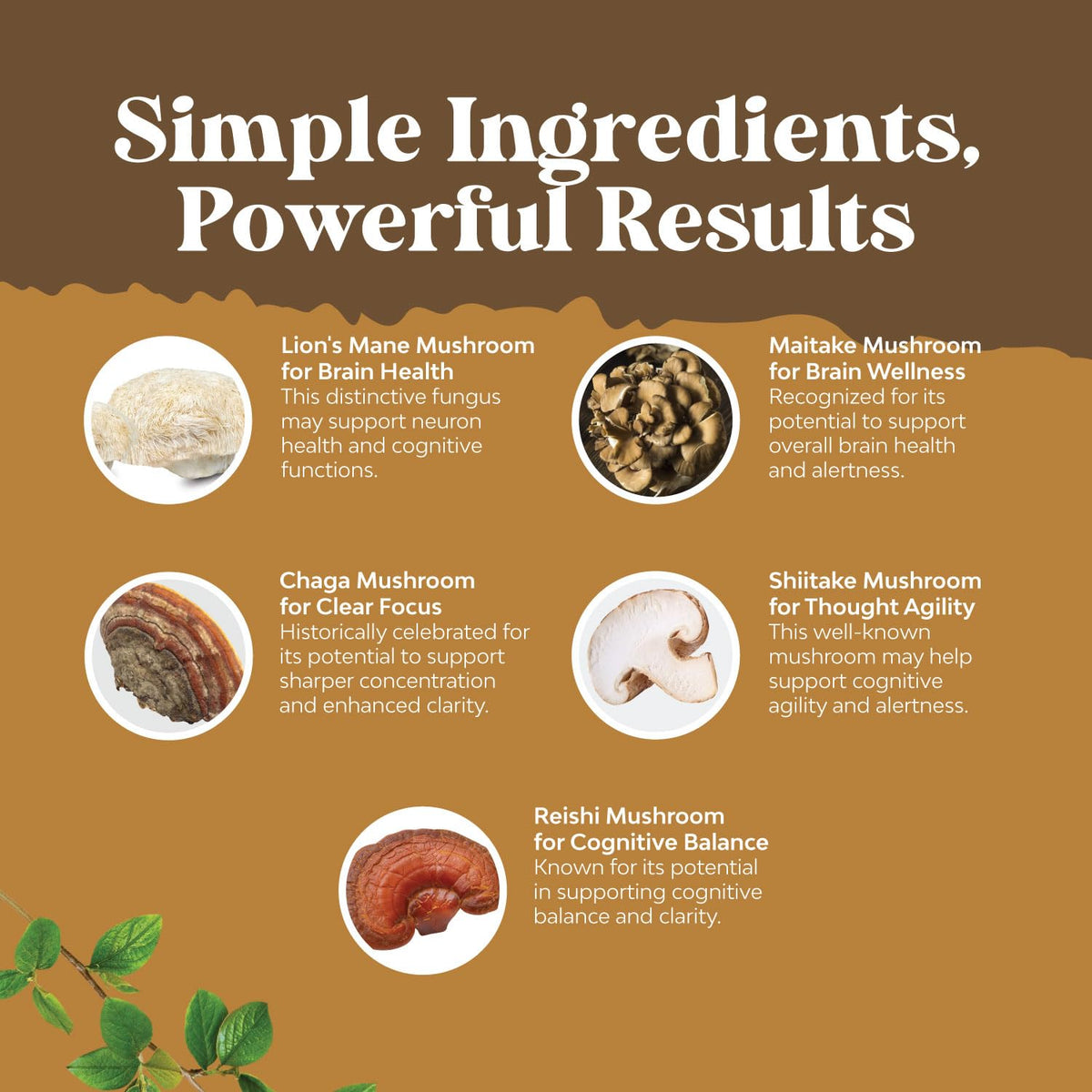 enhance focus with lion's mane