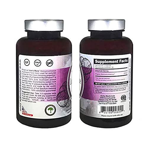 enhance focus with Lion's Mane