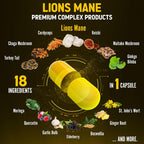 enhance focus with lion's mane