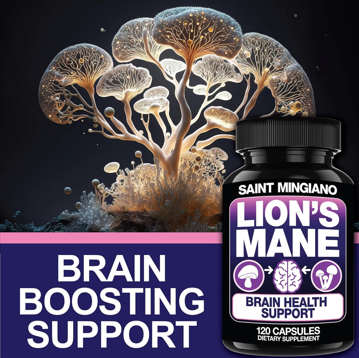 enhance focus with Lion's Mane