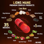 enhance focus with lion's mane