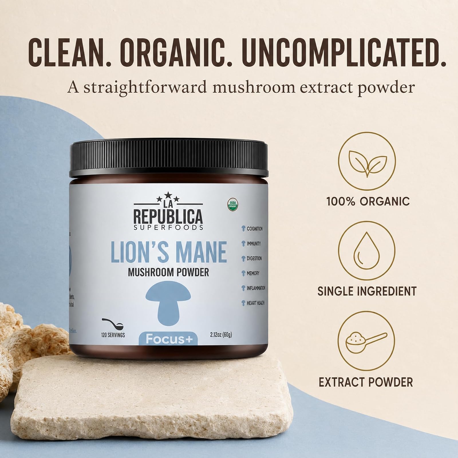 enhance focus with Lion's Mane