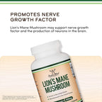 enhance focus with lion's mane