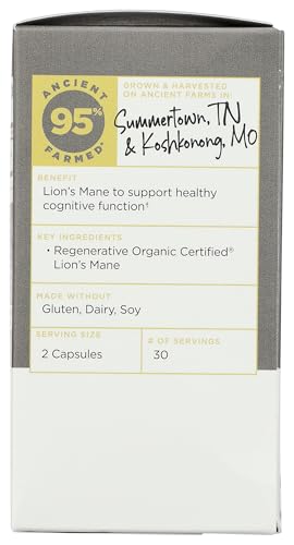 enhance focus with lion's mane