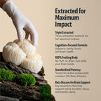 enhance focus with lion's mane