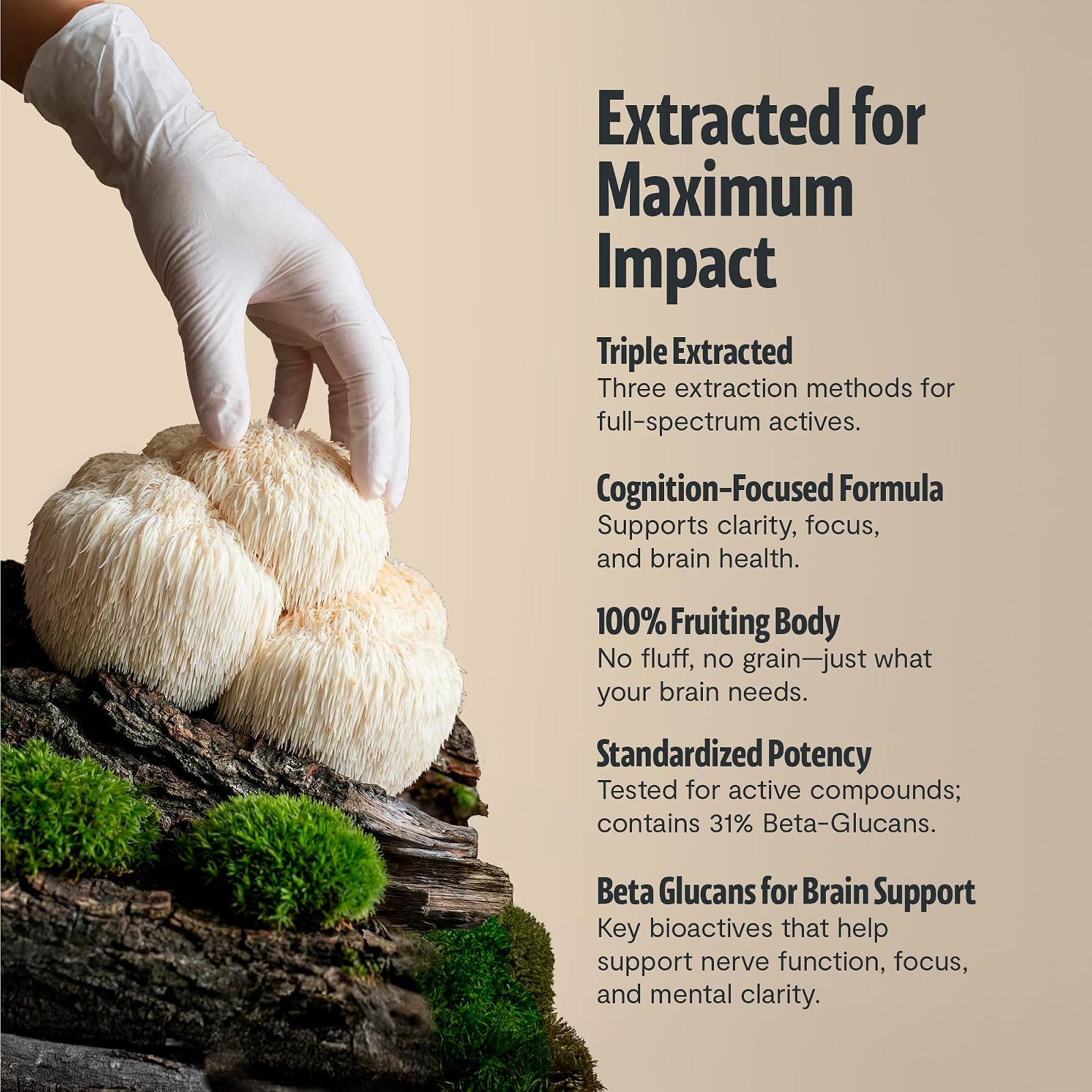 enhance focus with lion's mane