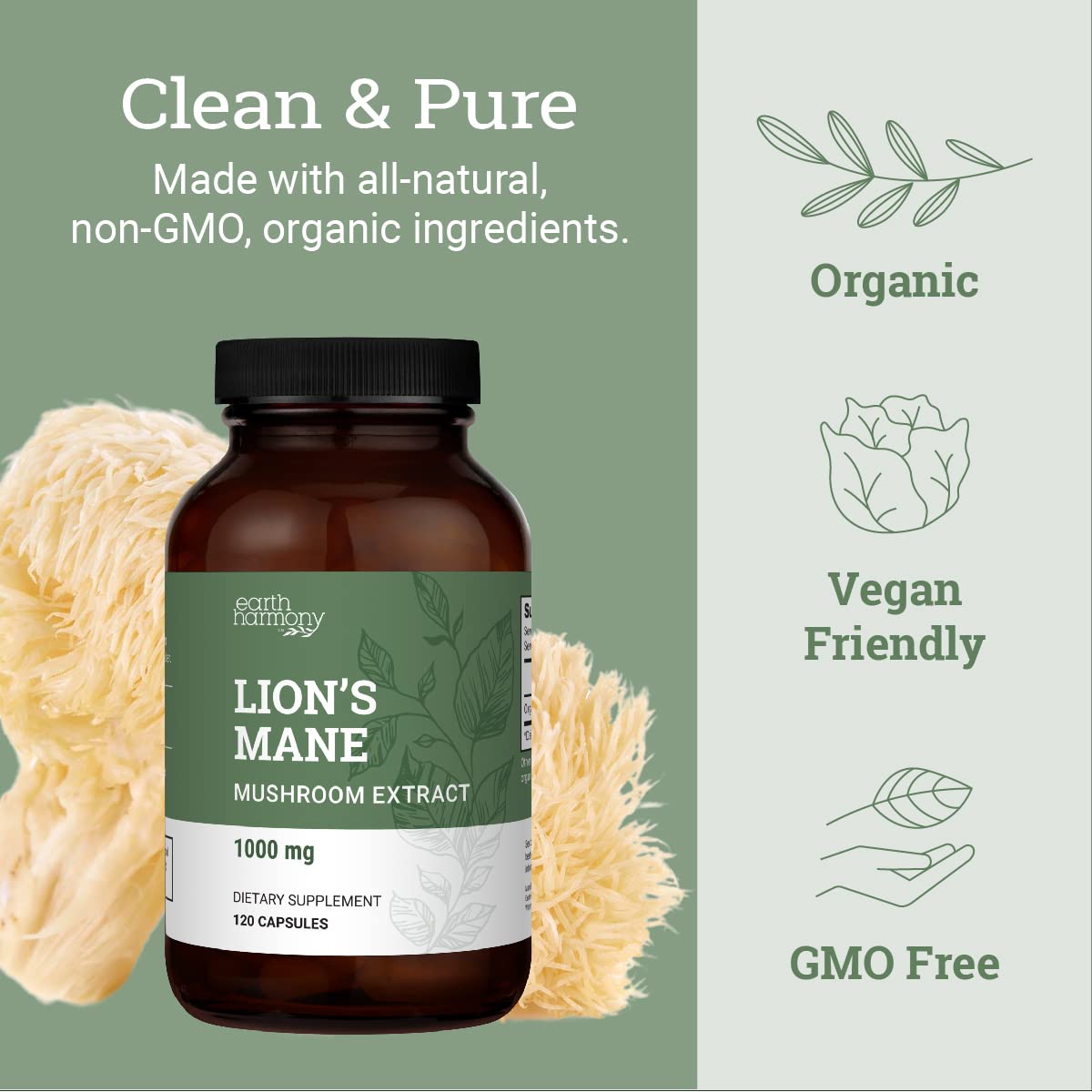 enhance focus with lion's mane