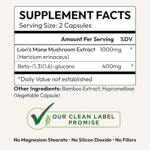 enhance focus with Lion's Mane