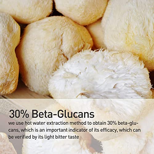 Enhance focus with Lions Mane mushrooms