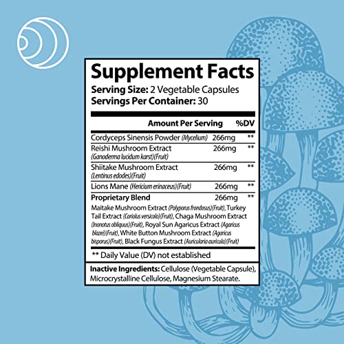 enhance focus with mushroom blend