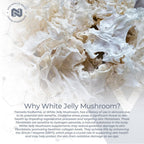 Enhance focus with mushroom extract