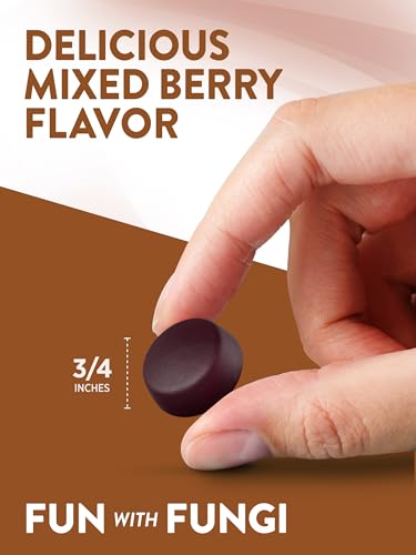 Enhance focus with mushroom extract