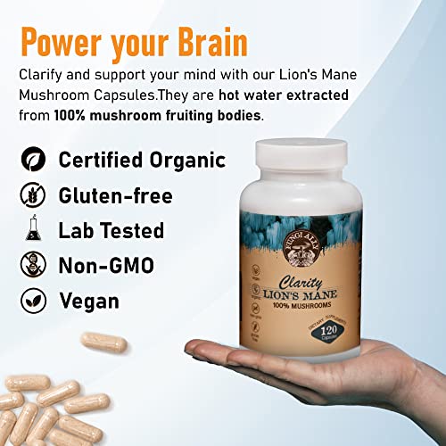 enhance focus with mushroom supplements