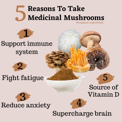enhance focus with mushroom supplements
