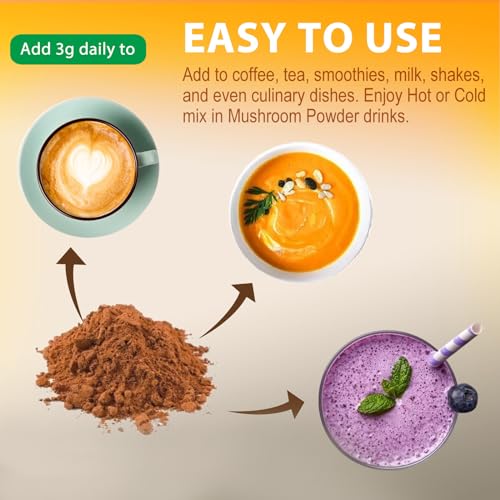 enhance focus with mushroom supplements