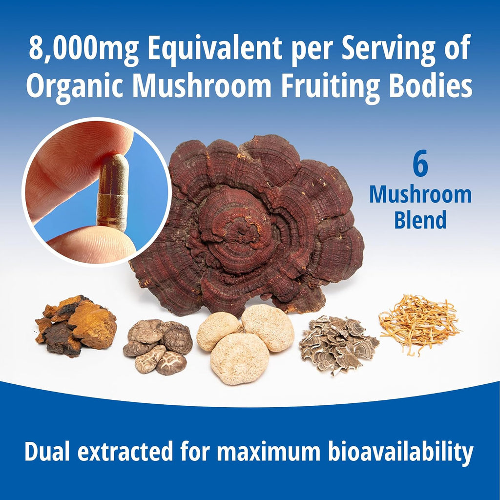 enhance focus with mushroom supplements