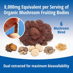 enhance focus with mushroom supplements