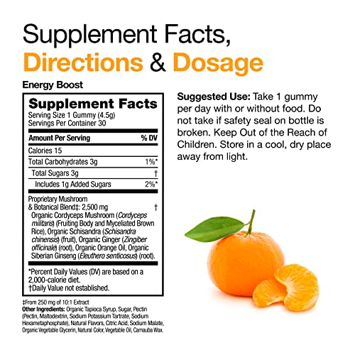enhance focus with mushroom supplements