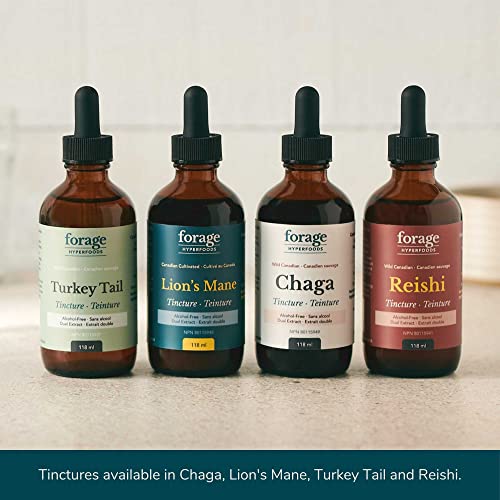 Enhance focus with mushroom tincture