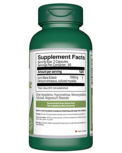 enhance focus with mushrooms