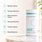 Enhance focus with organic mushrooms