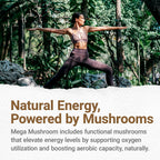 enhance focus with Procera mushrooms