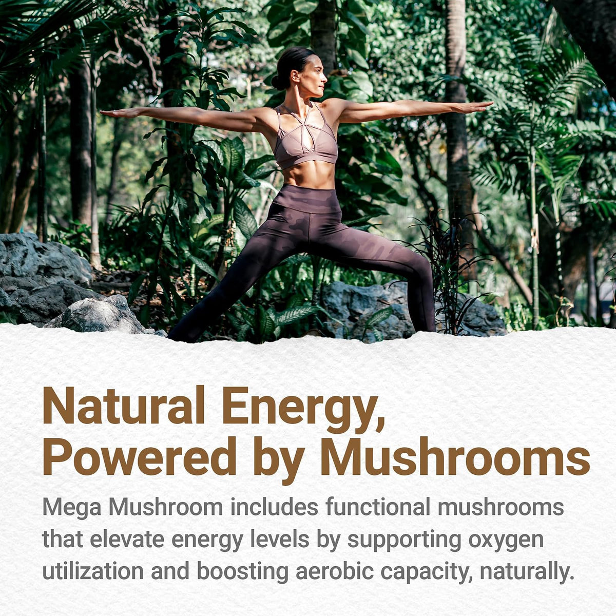 enhance focus with Procera mushrooms