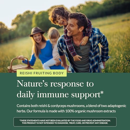 enhance focus with reishi