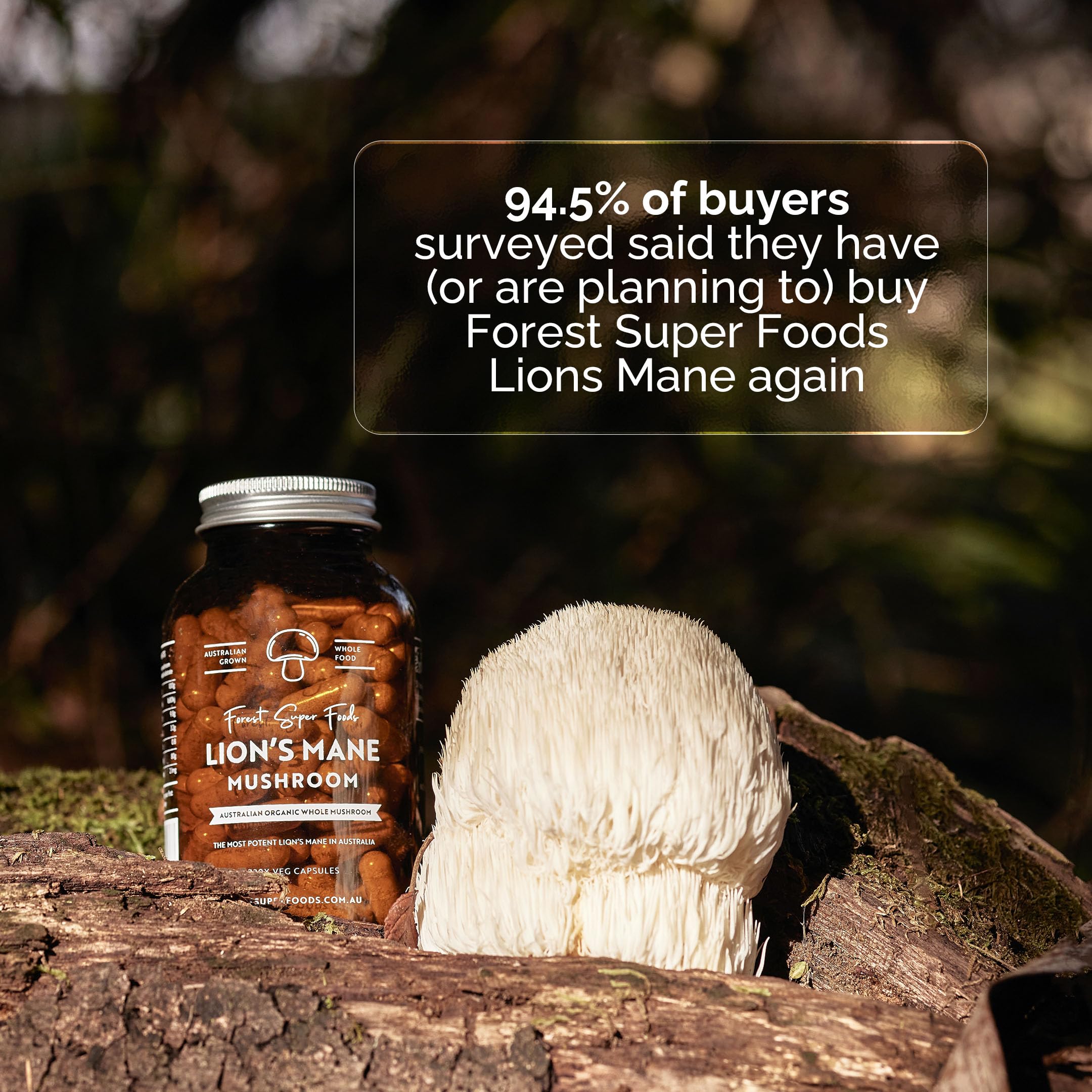 Enhance focus with vegan mushroom capsules