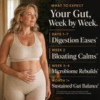 enhance gut flora balance