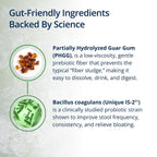 Enhance gut flora naturally