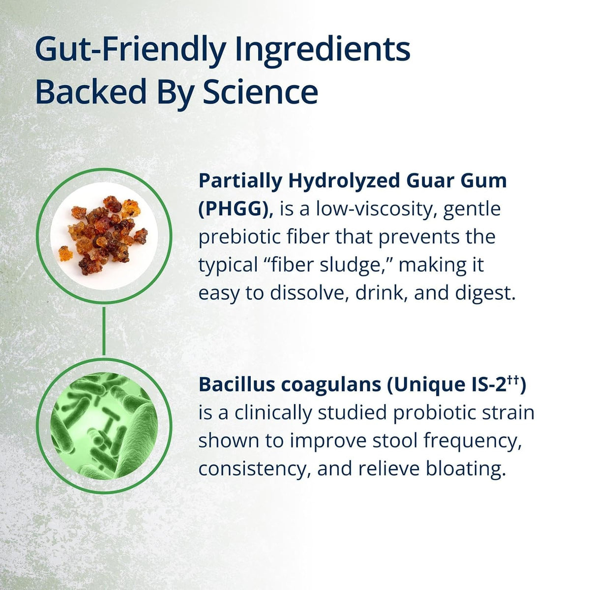 Enhance gut flora naturally
