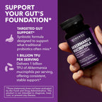 enhance gut flora with Akkermansia