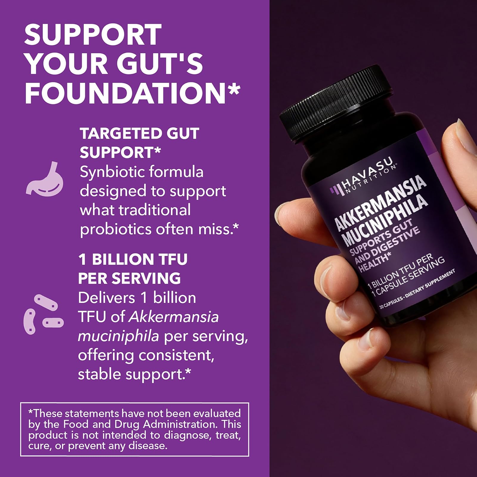 enhance gut flora with Akkermansia
