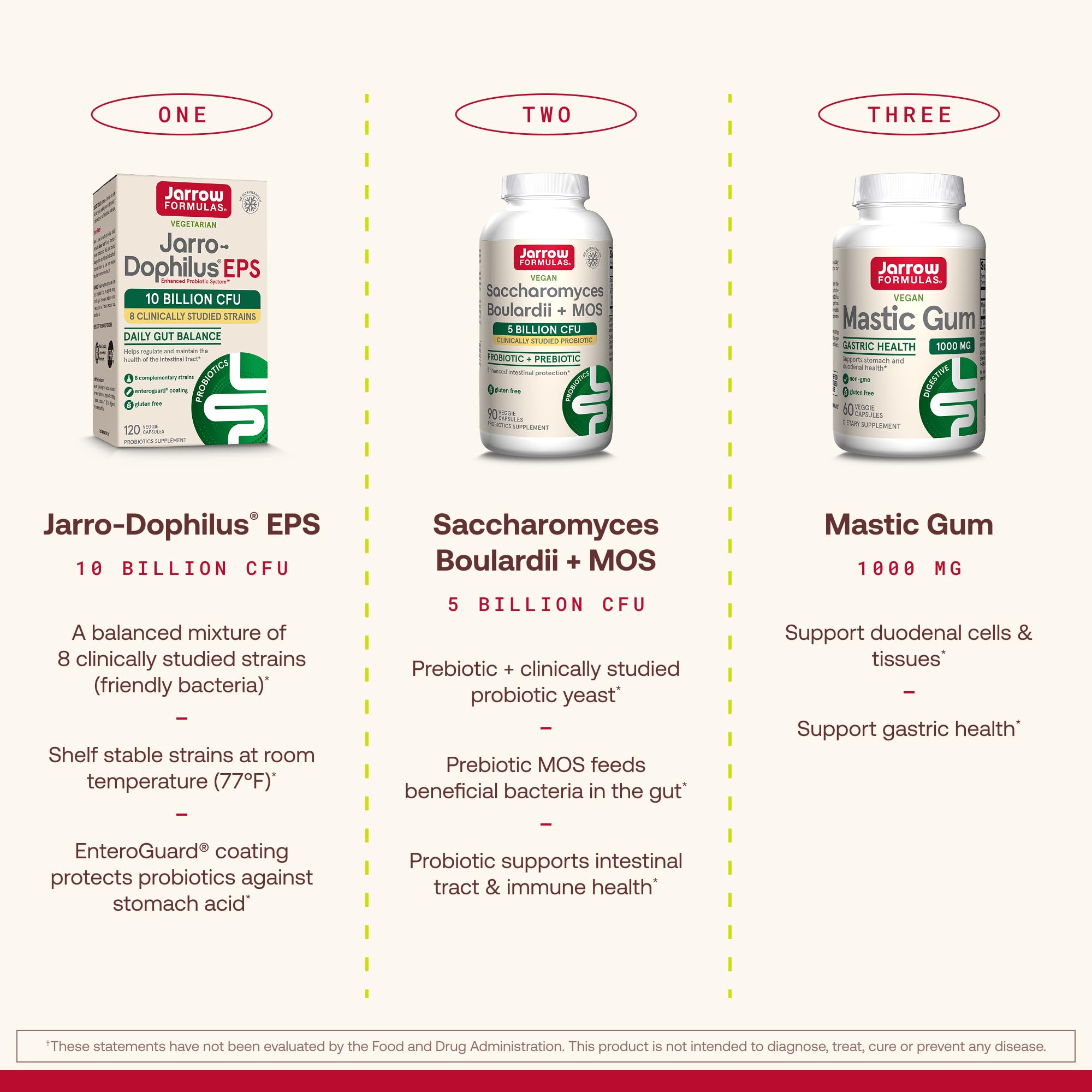 enhance gut health with mastic gum