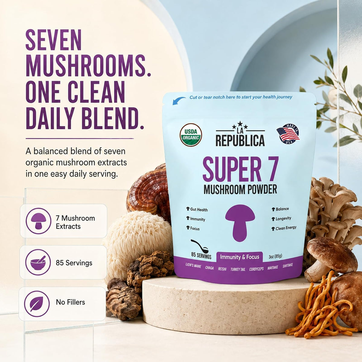 enhance health with mushroom blends