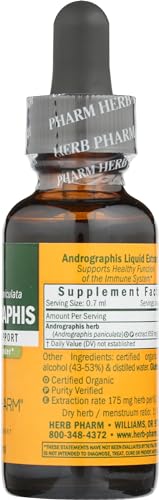 enhance immunity with herbal supplements